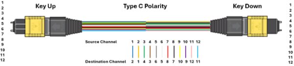Understanding MPO Polarity and How to Change the Polarity of a SENKO ...